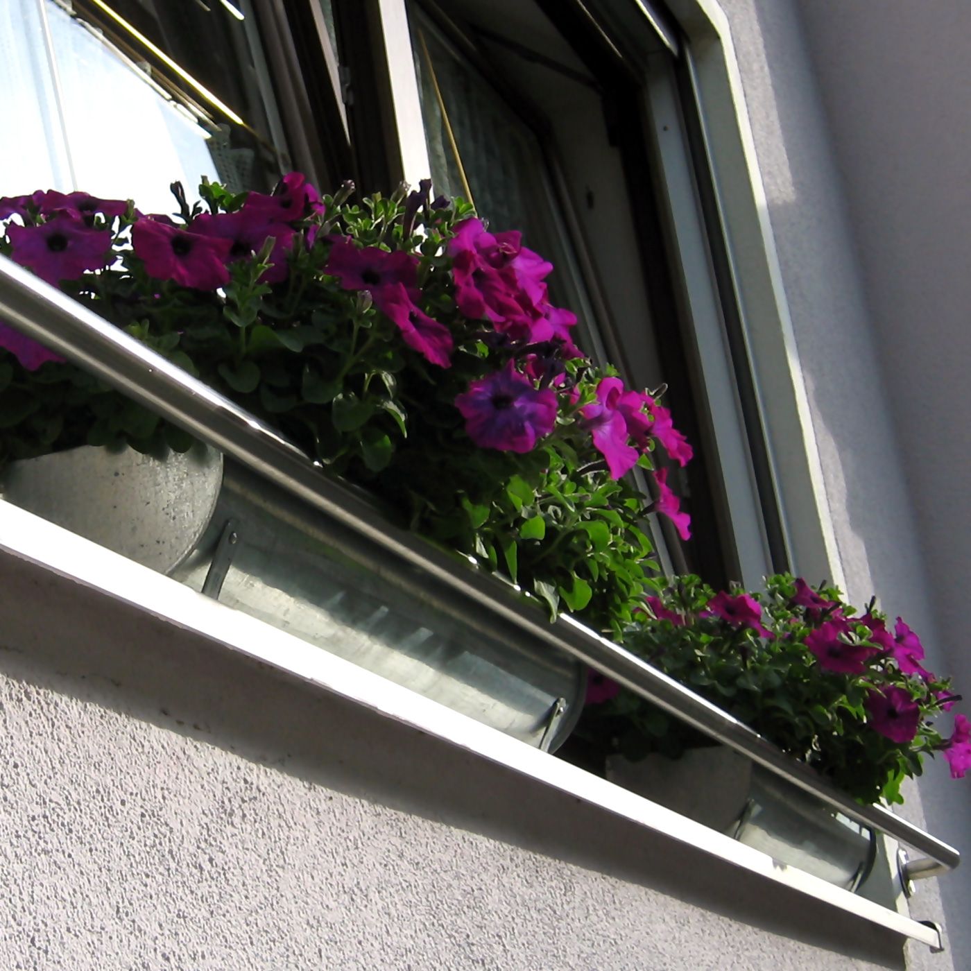Um Blumen Und Kr 228 Uter Auf Der Fensterbank Zu Sichern Haben Wir Einen